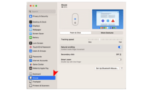 How to Invert Scrolling on Mac to Get Rid of Unnatural Scrolling